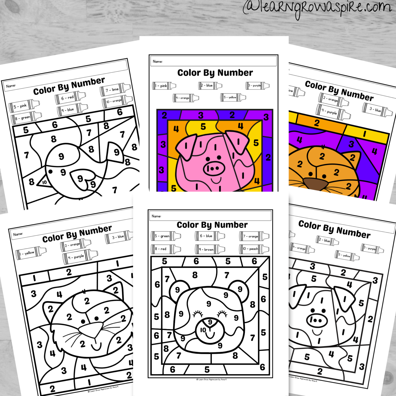Animal Color By Number Printable (FREE Download) | Learn Grow Aspire
