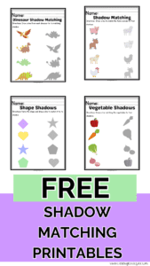 Free Printable Shadow Matching Worksheets