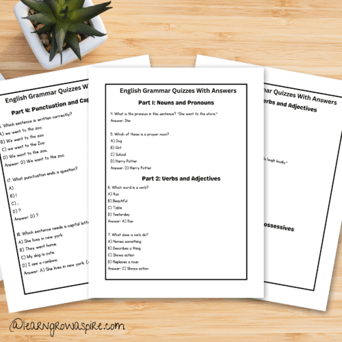 English Grammar Quizzes With Answers For Kids | Learn Grow Aspire