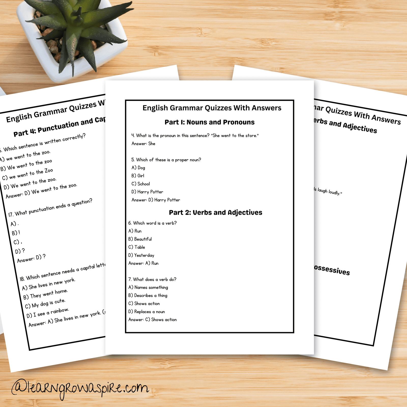 English Grammar Quizzes With Answers For Kids | Learn Grow Aspire