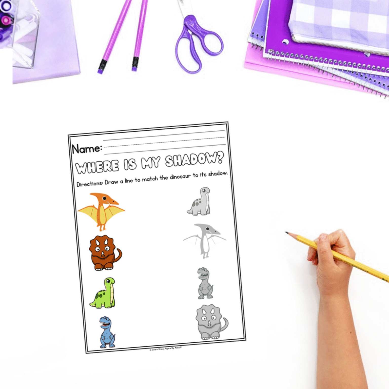 Free Dinosaur Shadow Matching Printables For Preschool