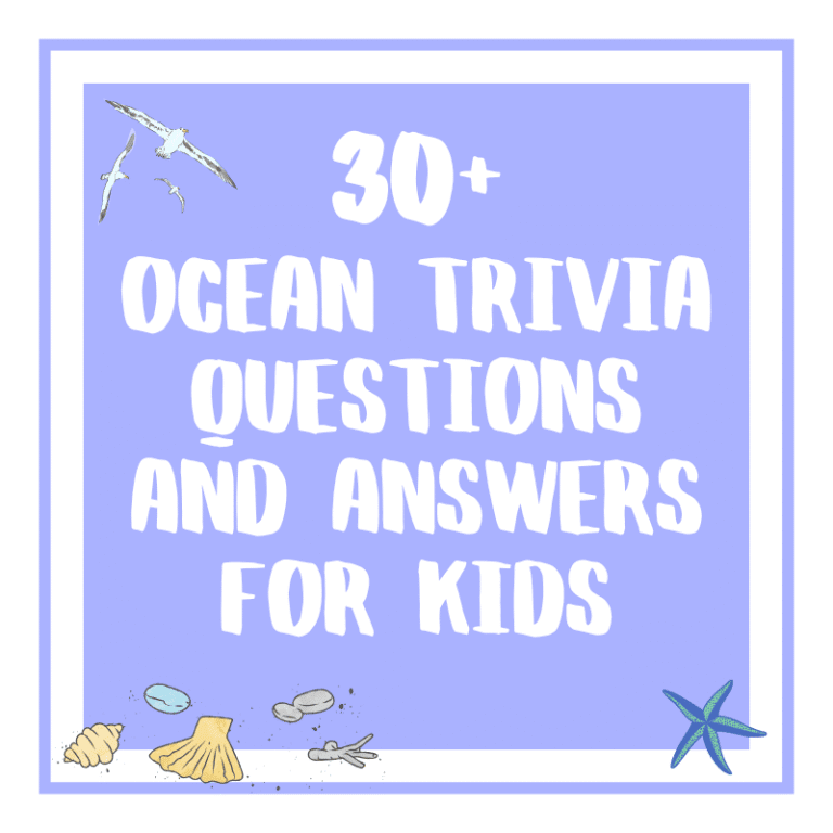 Ocean Trivia Questions And Answers For Kids | Learn Grow Aspire