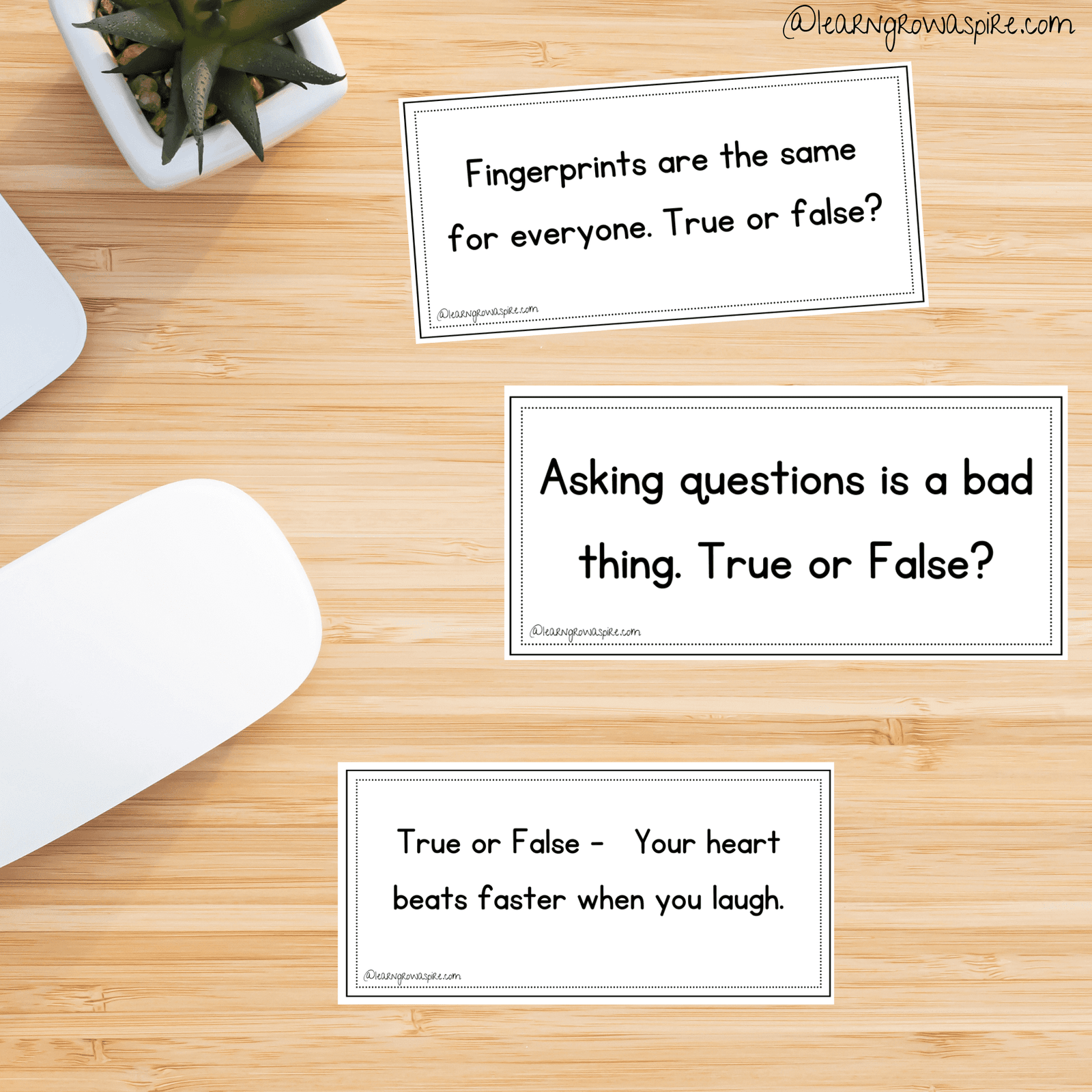True Or False Trivia For Kids | Learn Grow Aspire